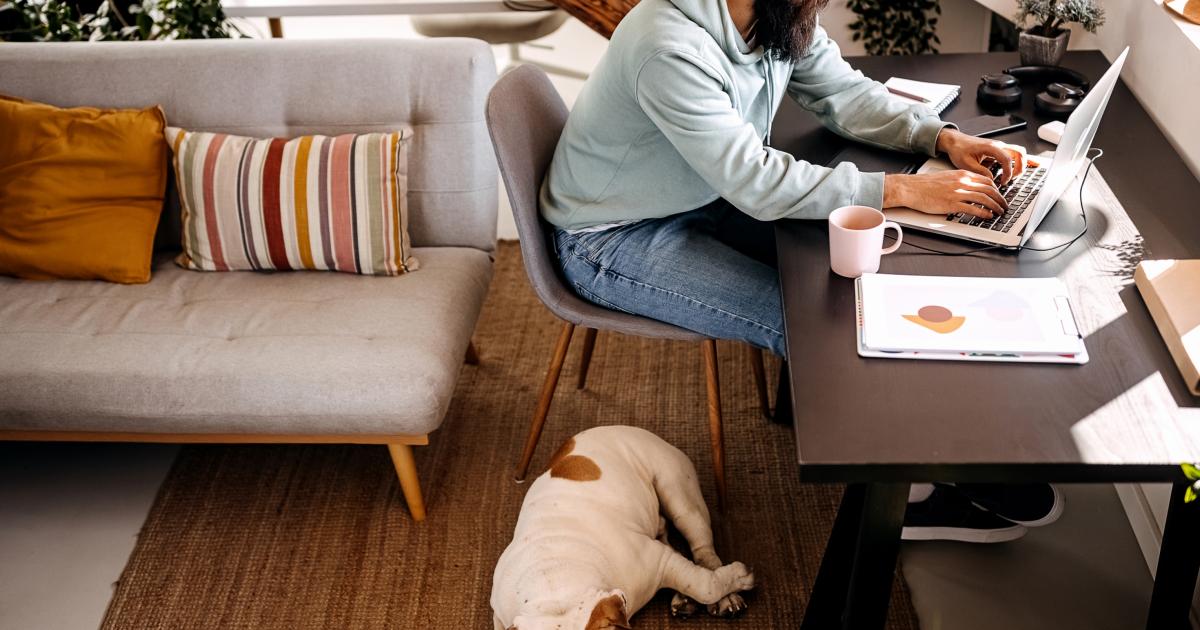 25 Types of Lucrative Remote Jobs for 2022 - Pebl