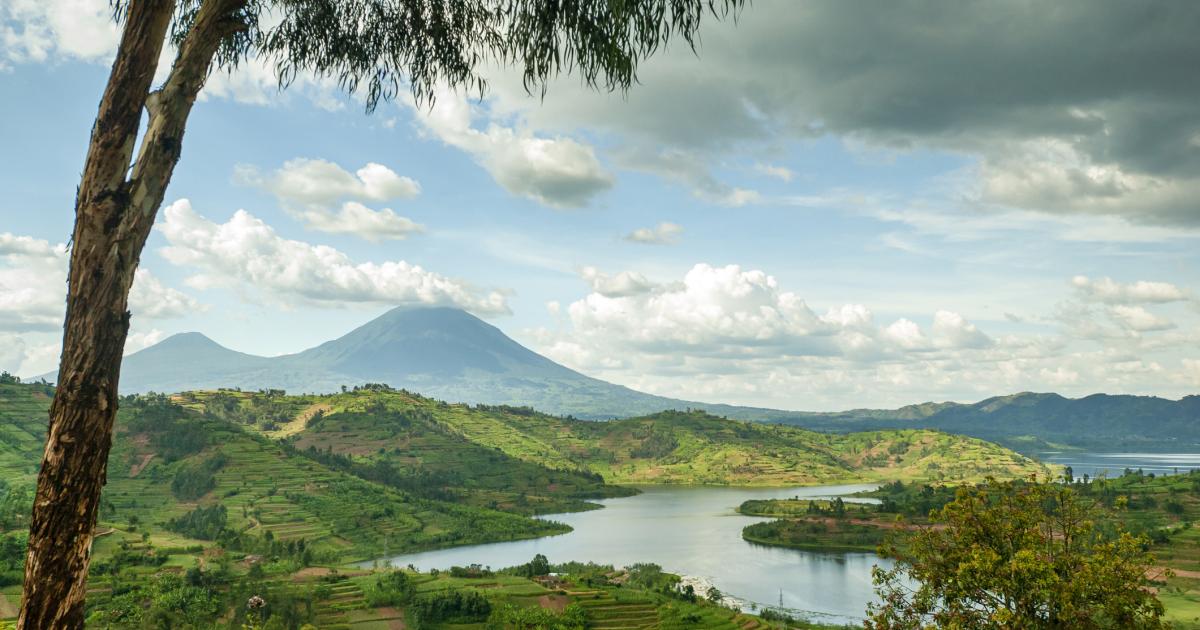 Uganda Work Visa Process for Employers| Pebl