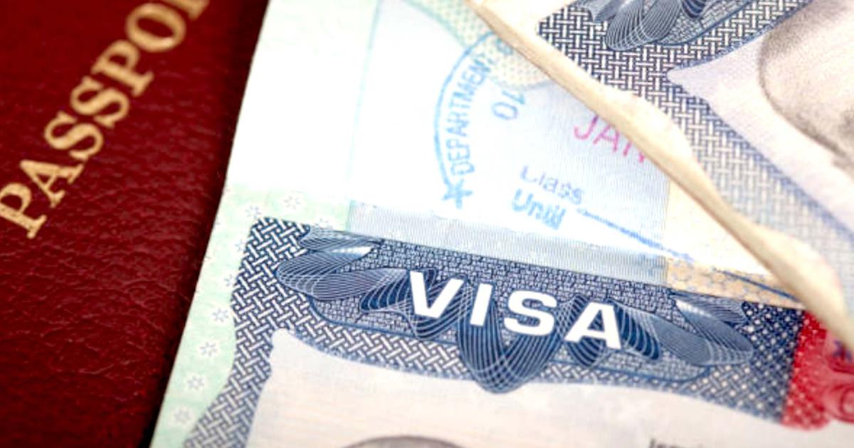 Tier 5 Visa - Understanding the Opportunities